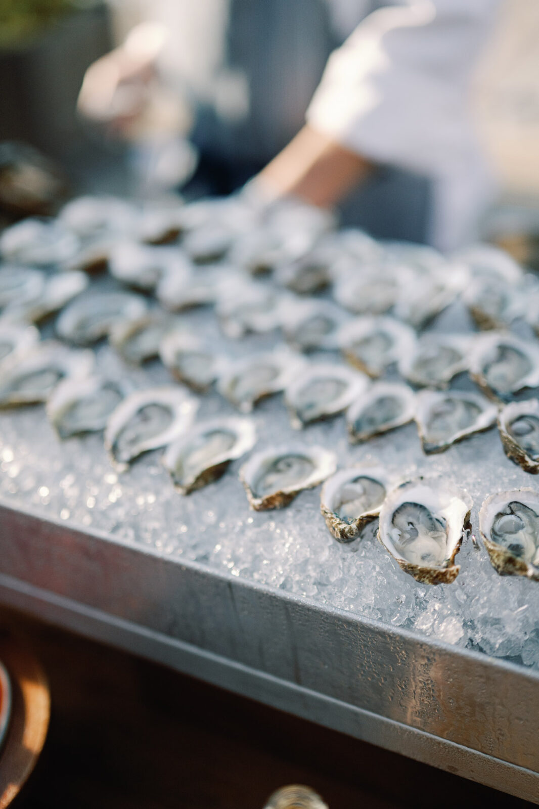 Things To Do In Newport RI | The Ultimate Wedding Guest’s...